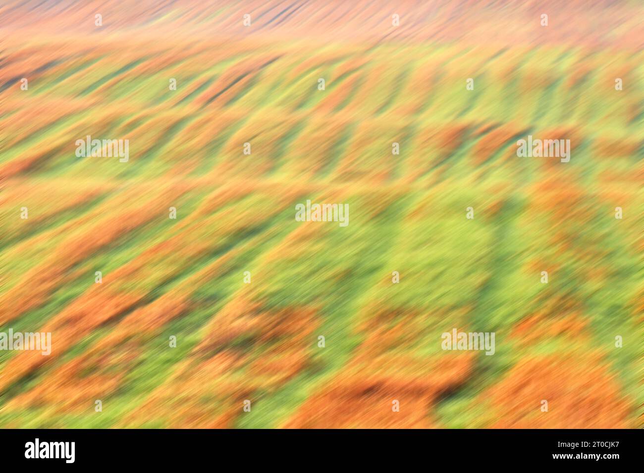 Field of motion hi-res stock photography and images - Alamy