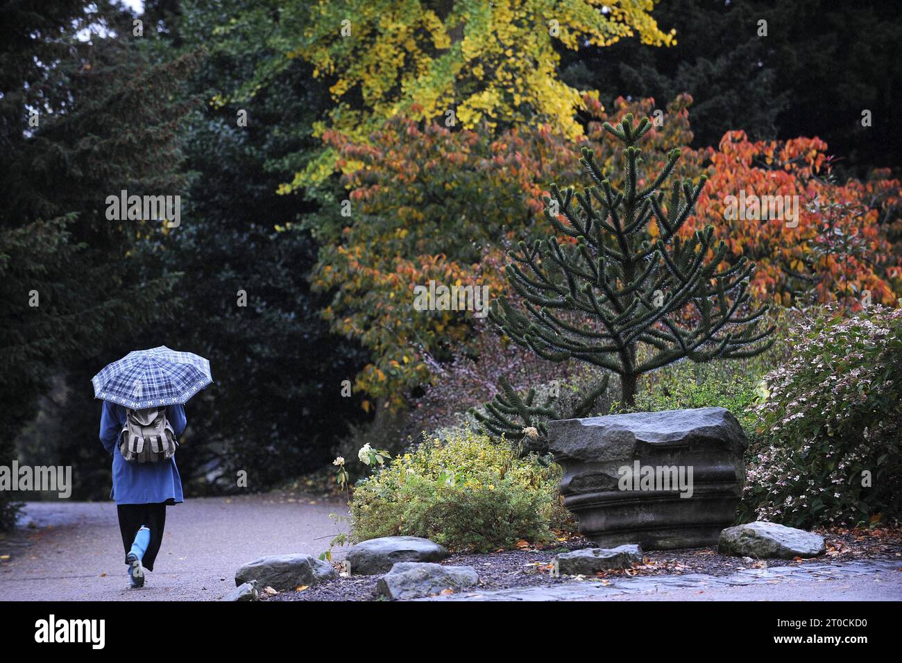 PA file photo of a woman walking in a park. See PA Feature IRISH ...