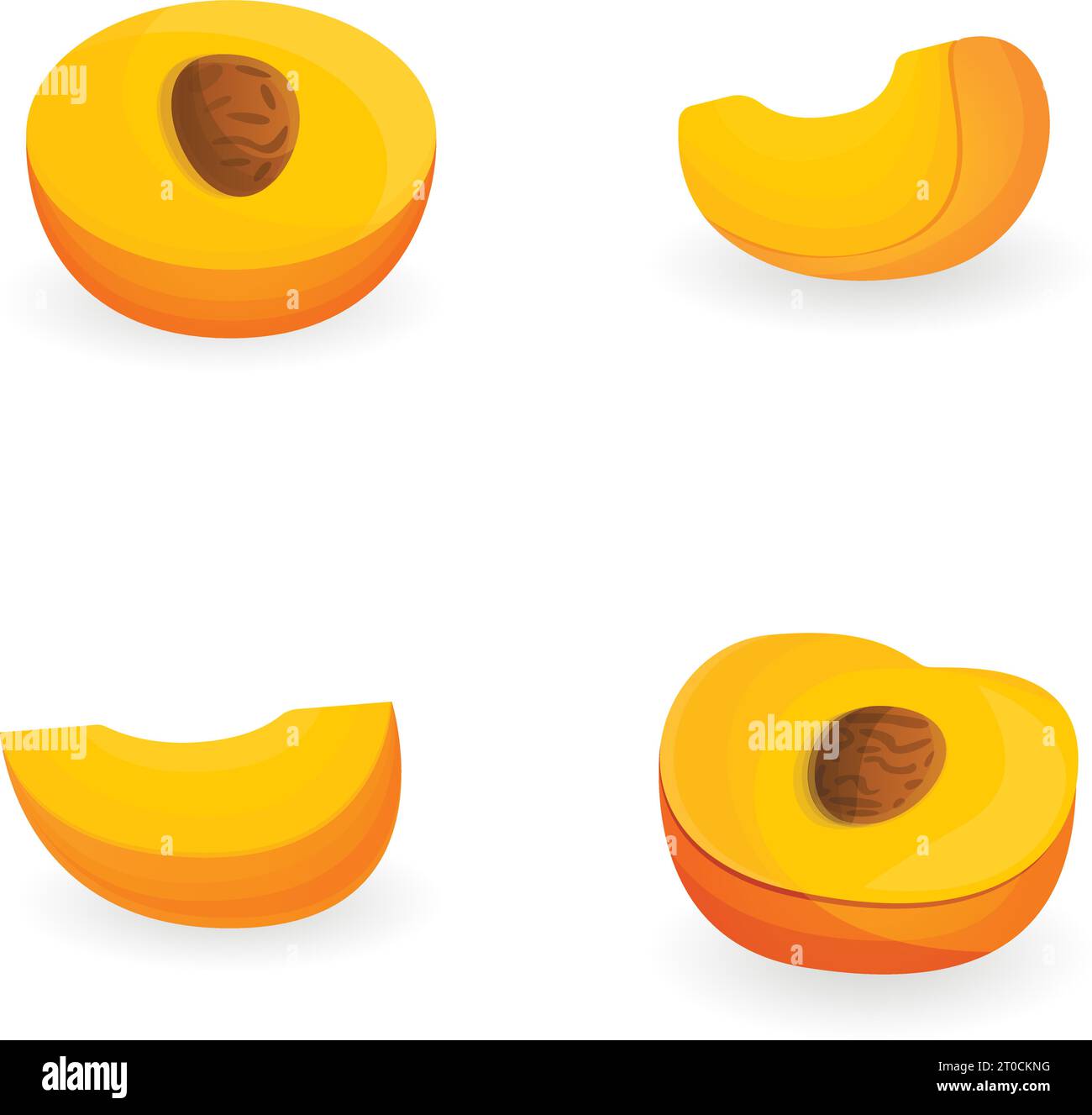 Apricot icons set cartoon vector. Ripe apricot piece. Fresh fruit, food ...