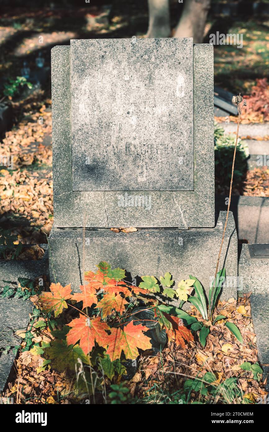 Uncared for grave hi-res stock photography and images - Alamy