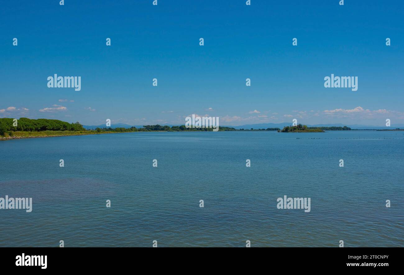 Shallow waters in the Grado section of the Marano and Grado Lagoon in ...