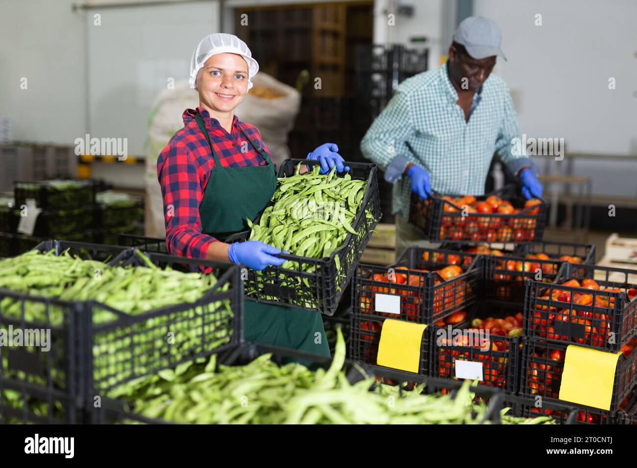 Pea factory hi-res stock photography and images - Alamy