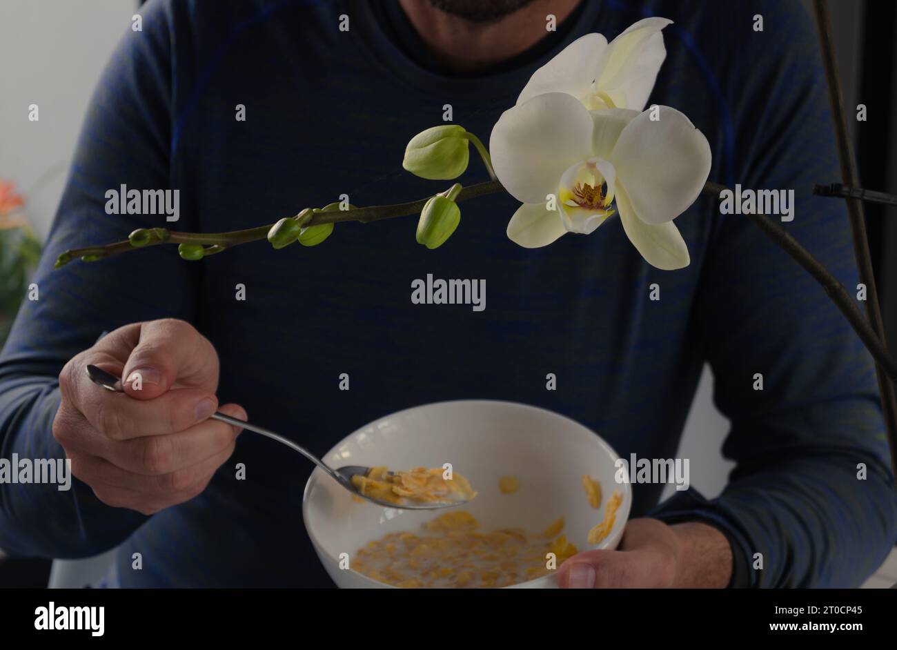 body shot of a man eating cornflakes with an orchid in front of him ...