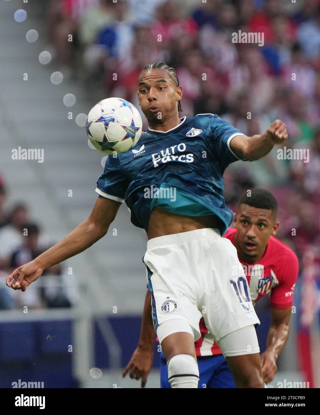 Stengs hi-res stock photography and images - Alamy