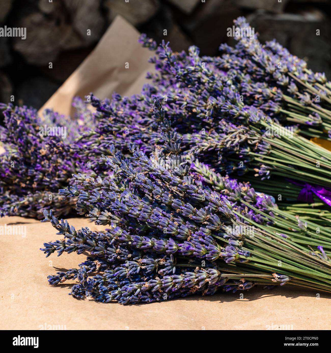 Lavender bouquets with purple and yellow ribbons lie on paper Stock ...