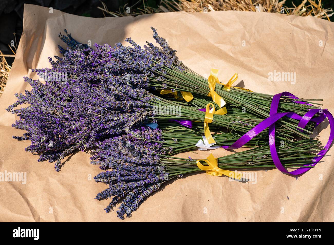 Lavender bouquets with purple and yellow ribbons lie on paper Stock ...