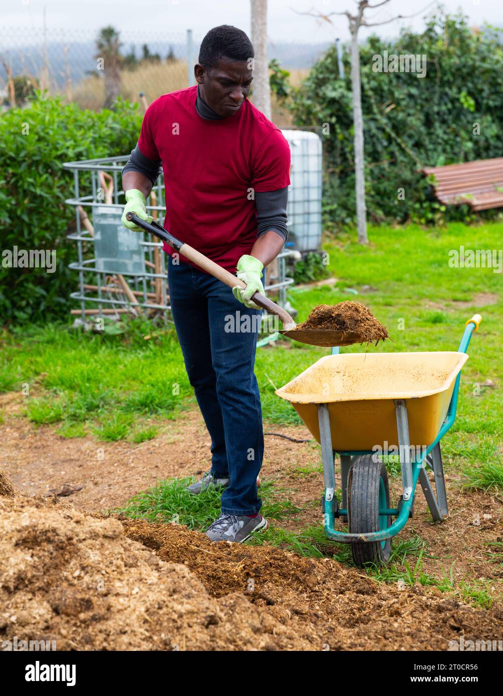 African man digging manure to fertilize soil Stock Photo - Alamy
