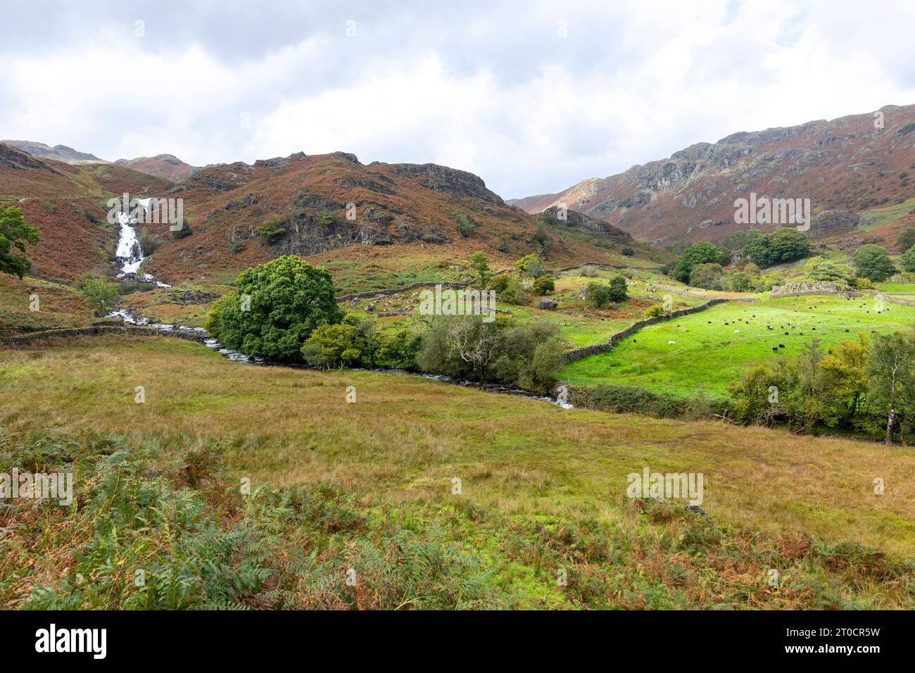 Lake District, Easedale Beck and Valley forms the walk to Easedale Tarn ...