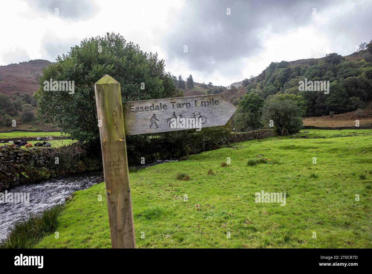 Lake District national park, Easedale Valley near Grasmere and wooden ...
