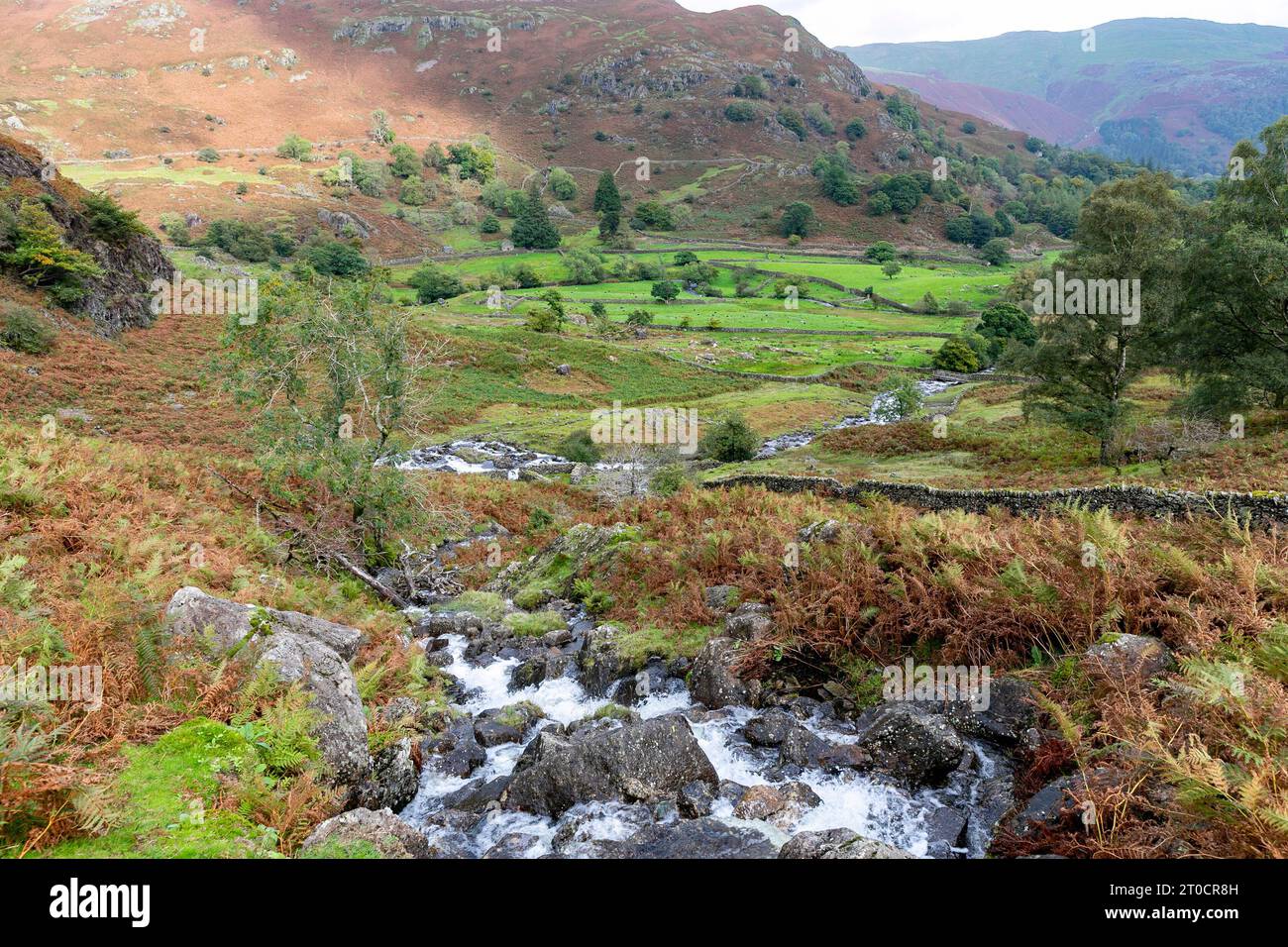 Lake District, Easedale Beck and Valley forms the walk to Easedale Tarn ...