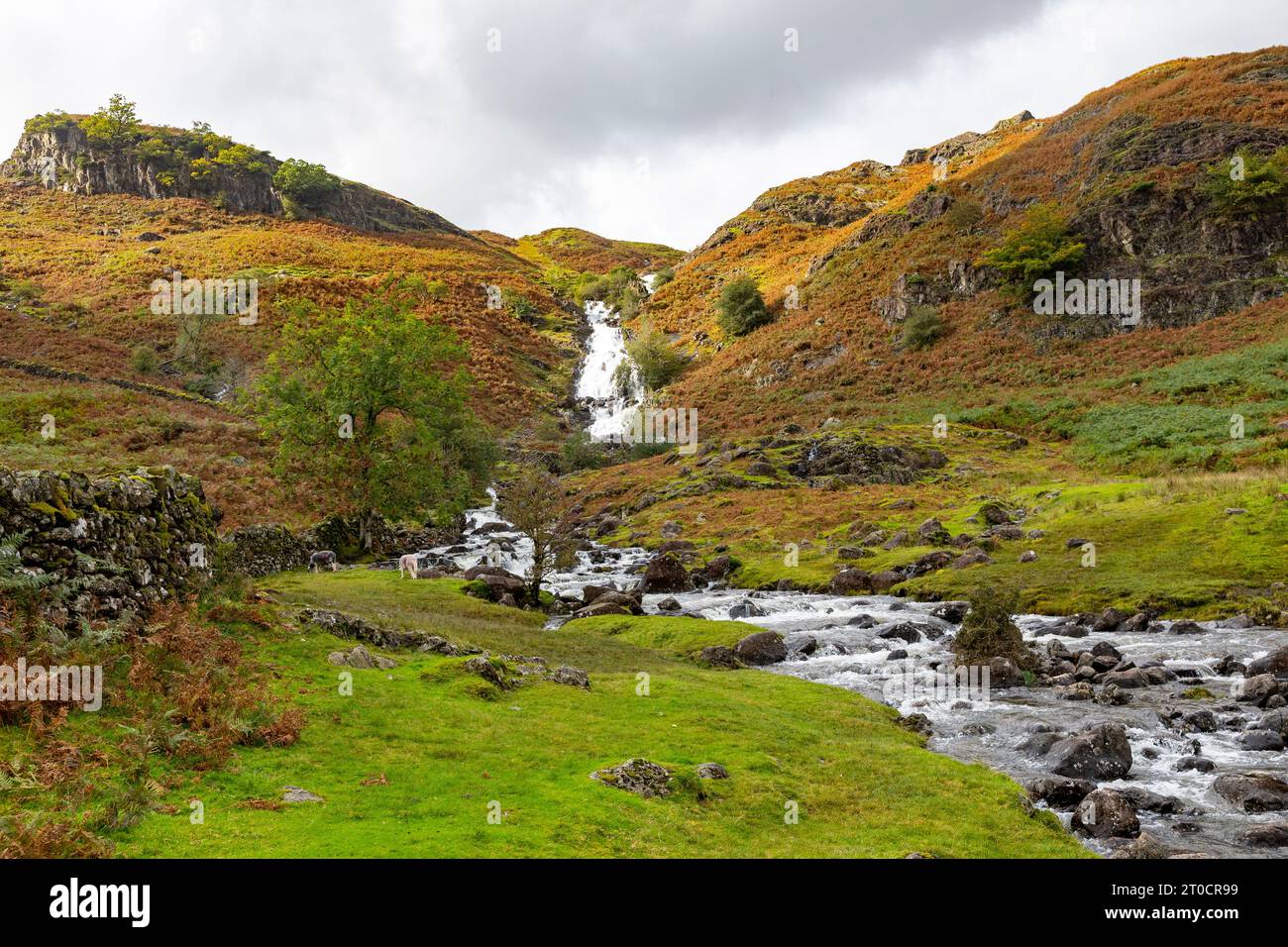 Lake District, Easedale Beck and Valley forms the walk to Easedale Tarn ...