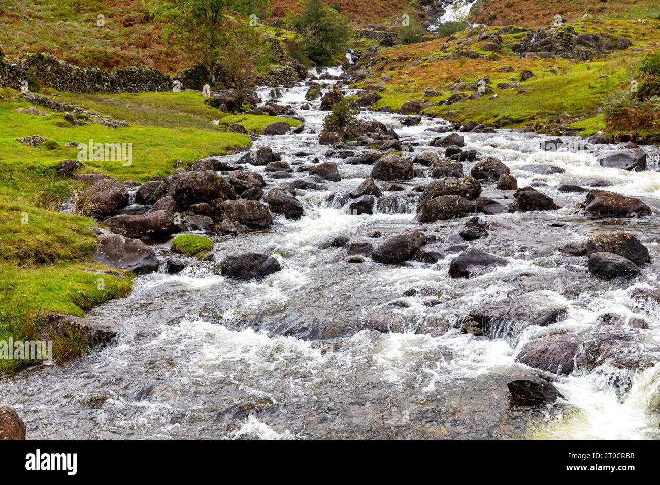 Lake District, Easedale Beck and Valley forms the walk to Easedale Tarn ...