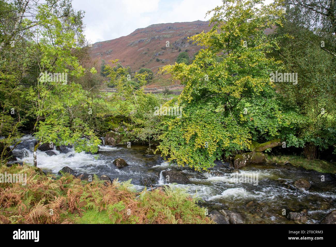 Lake District, Easedale Beck and Valley forms the walk to Easedale Tarn ...