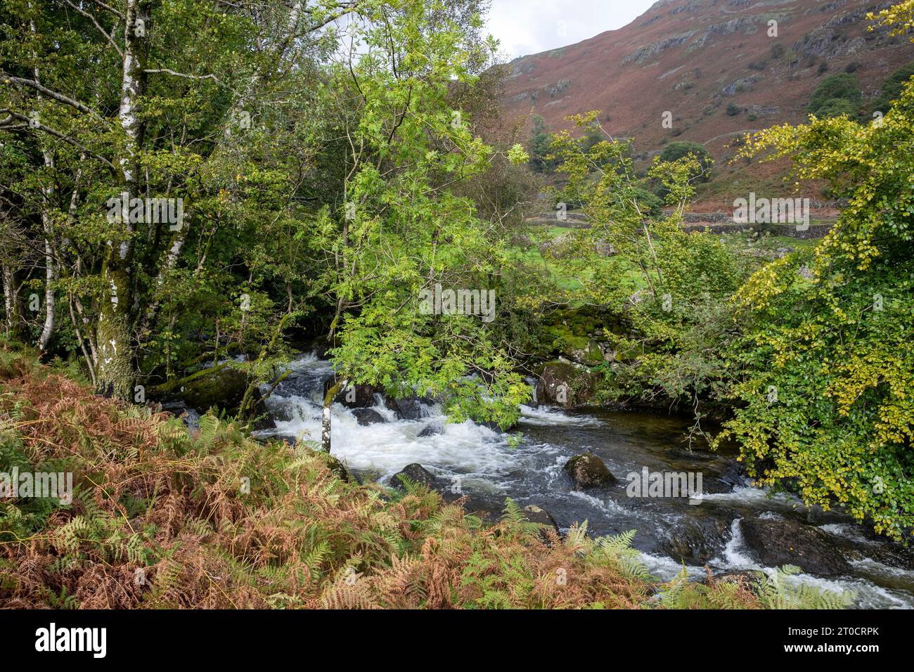 Lake District, Easedale Beck and Valley forms the walk to Easedale Tarn ...