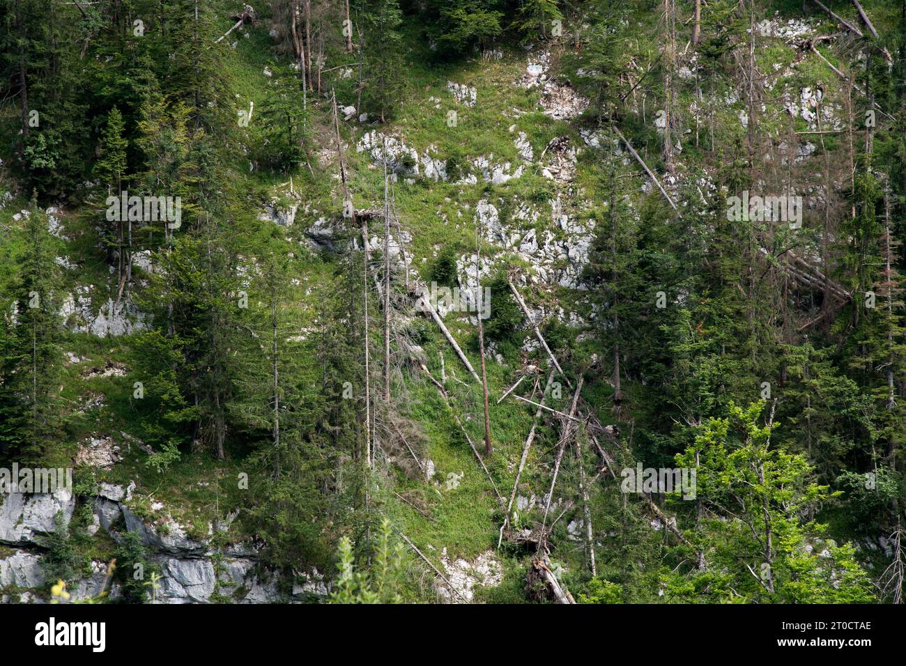 Hallstatt salt mine is the world's oldest working salt mine in Salzberg ...