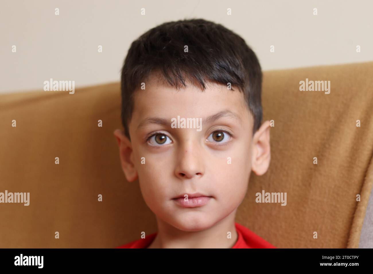 Portrait of a Young Boy with Neutral Expression, Short Dark Hair, and ...