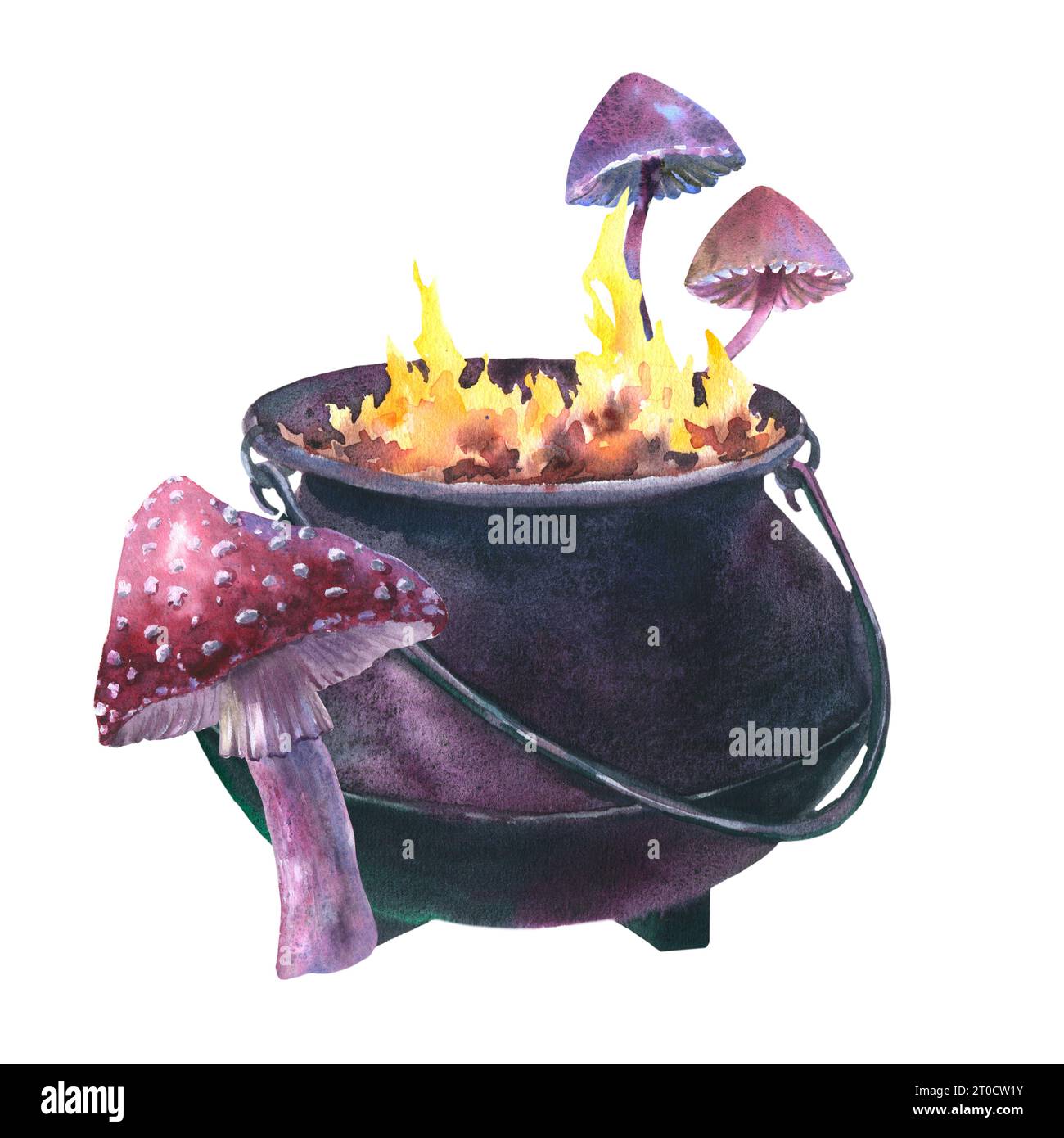 Watercolor Witch Cauldron with Fly agaric and toxic mushrooms. Hand ...