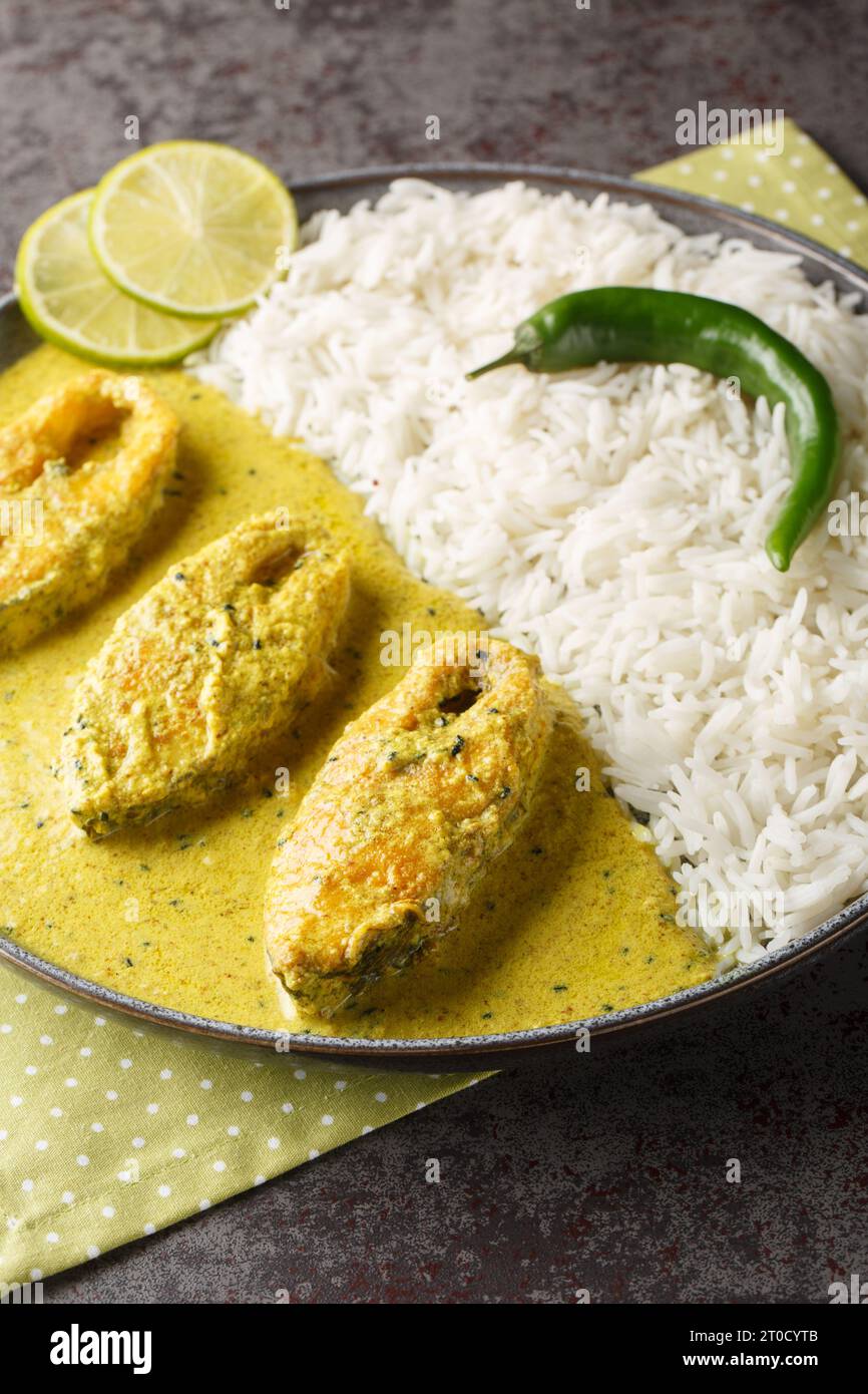 Hilsa fish hi-res stock photography and images - Alamy