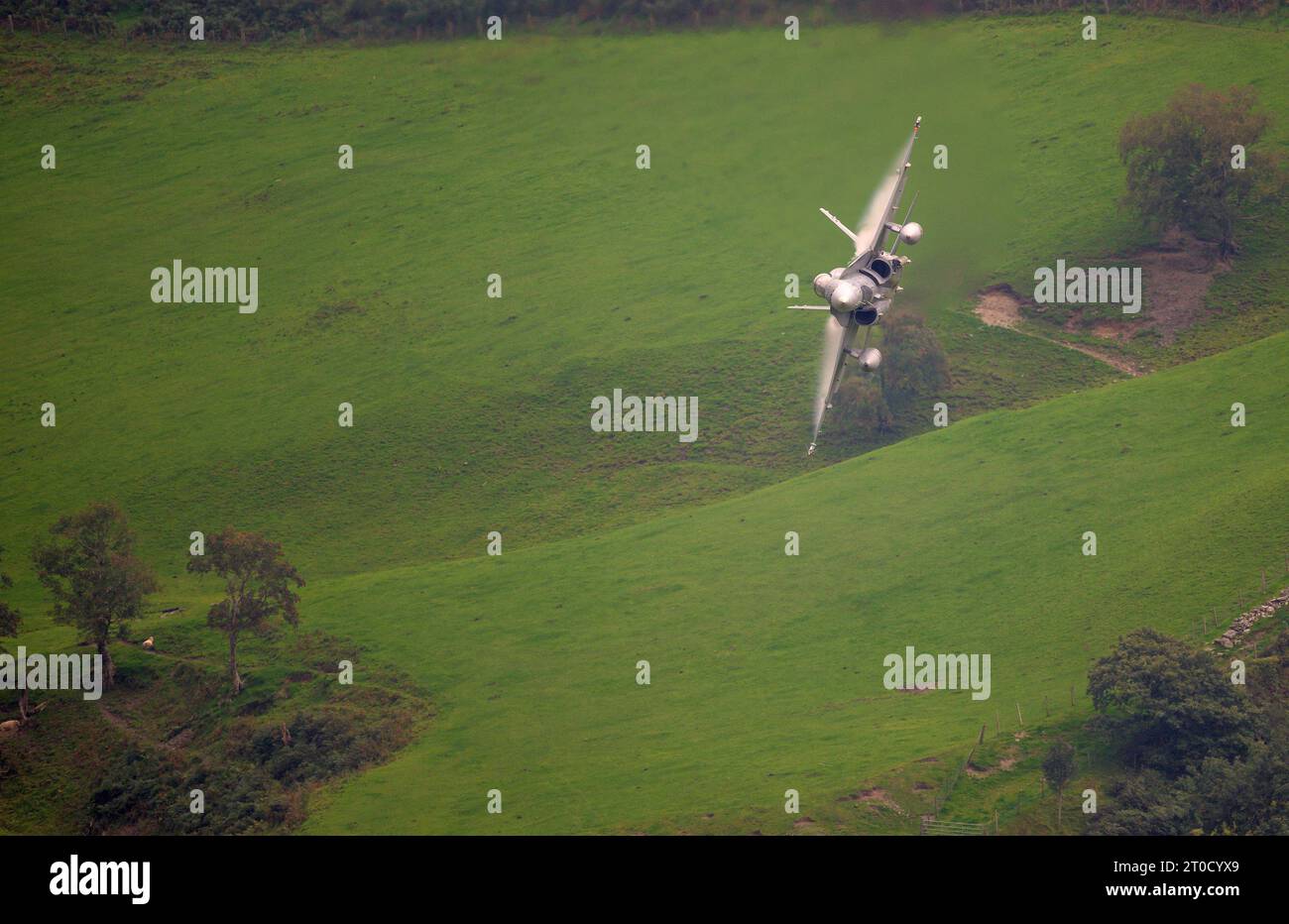 Royal Canadian Air Force CF-188 724 Hornet low level flying in the ...
