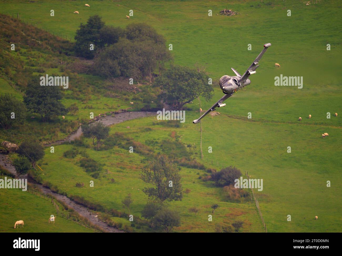 Camouflage strikemaster hi-res stock photography and images - Alamy