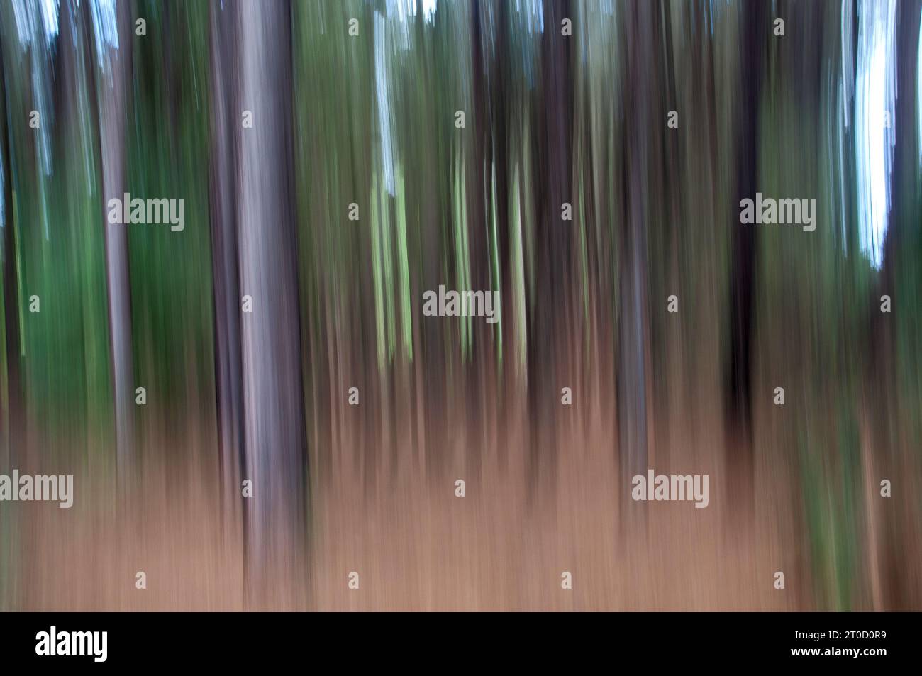 Wd abstract hi-res stock photography and images - Alamy