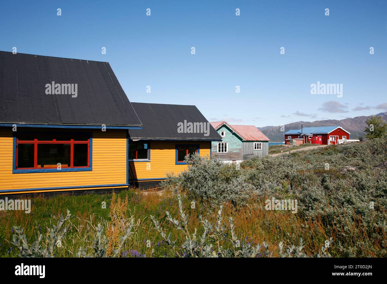 Houses in the miners ghost town of Ivigtut, Greenland Stock Photo - Alamy