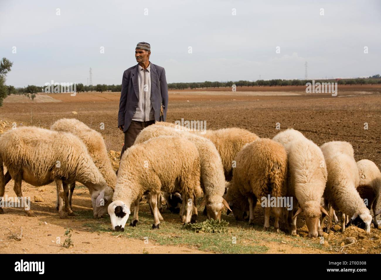 Rif mountain shepherd hi-res stock photography and images - Alamy