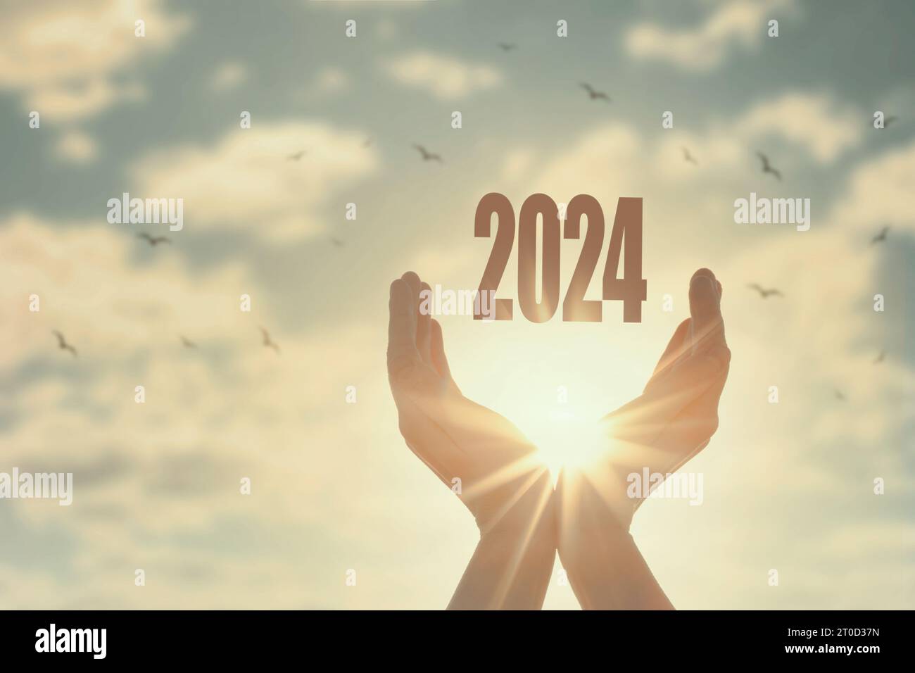 Woman hands, sun and sky. Freedom or solar power concept Stock Photo ...