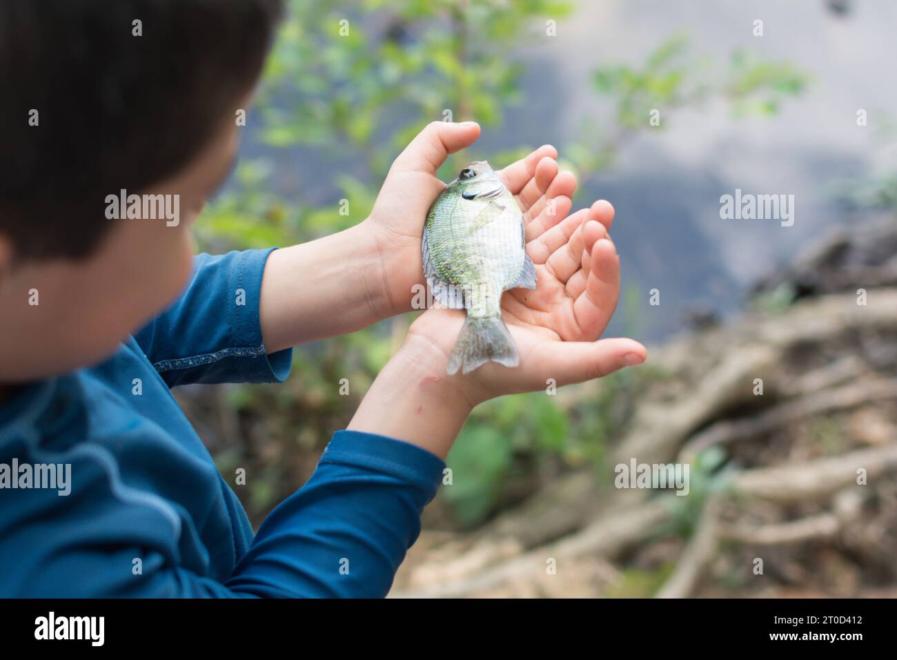 Boy holding caught fish in hand Stock Photo - Alamy