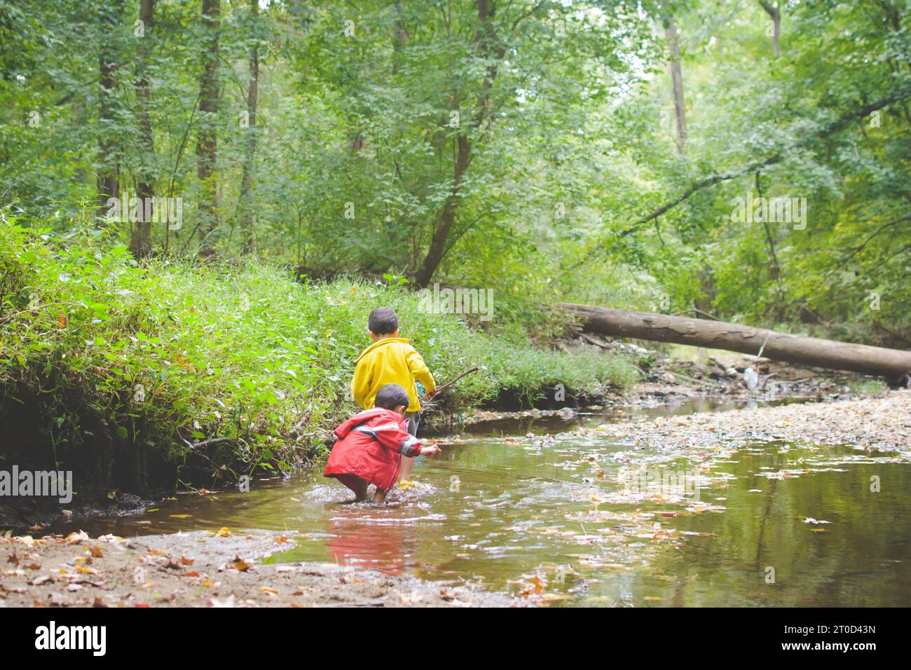 Wading in creek hi-res stock photography and images - Alamy