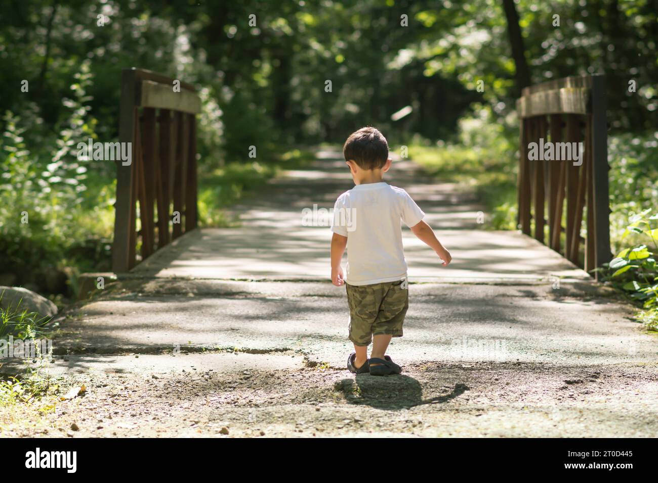 Young boy walking down sunny path in forest Stock Photo - Alamy