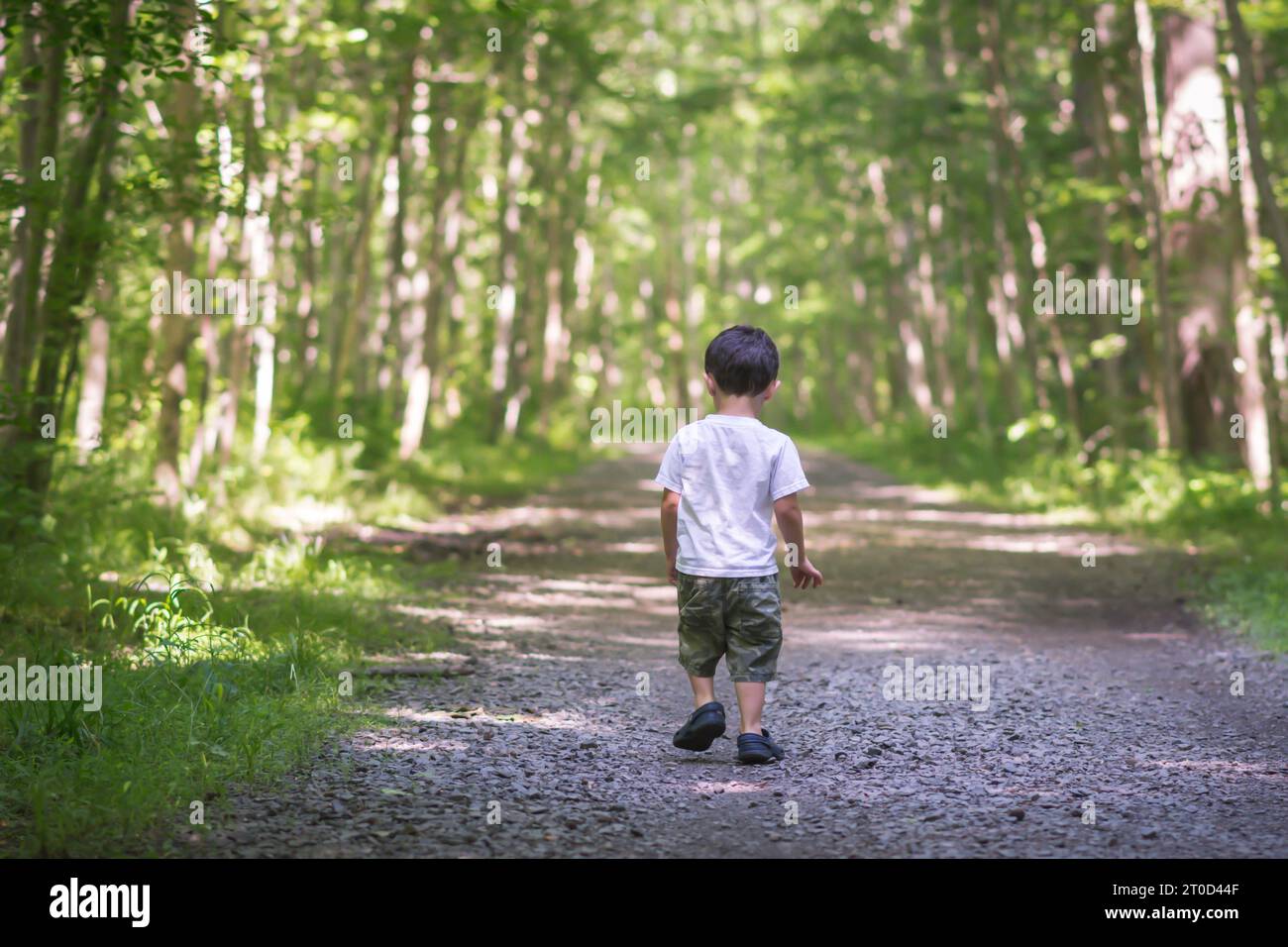 Young boy walking down shady path in forest Stock Photo - Alamy