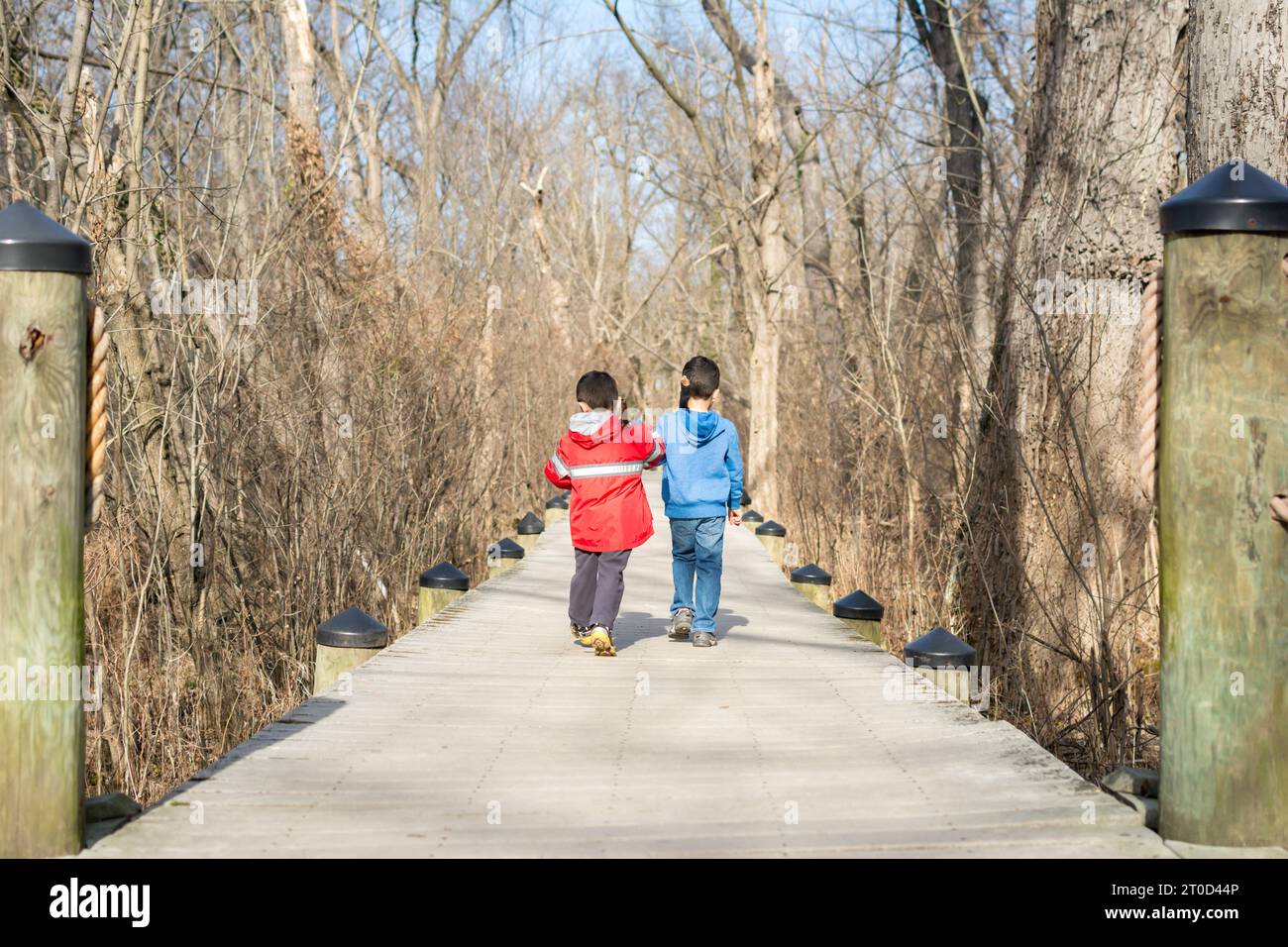 Boys walking on boardwalk path in forest in winter Stock Photo - Alamy