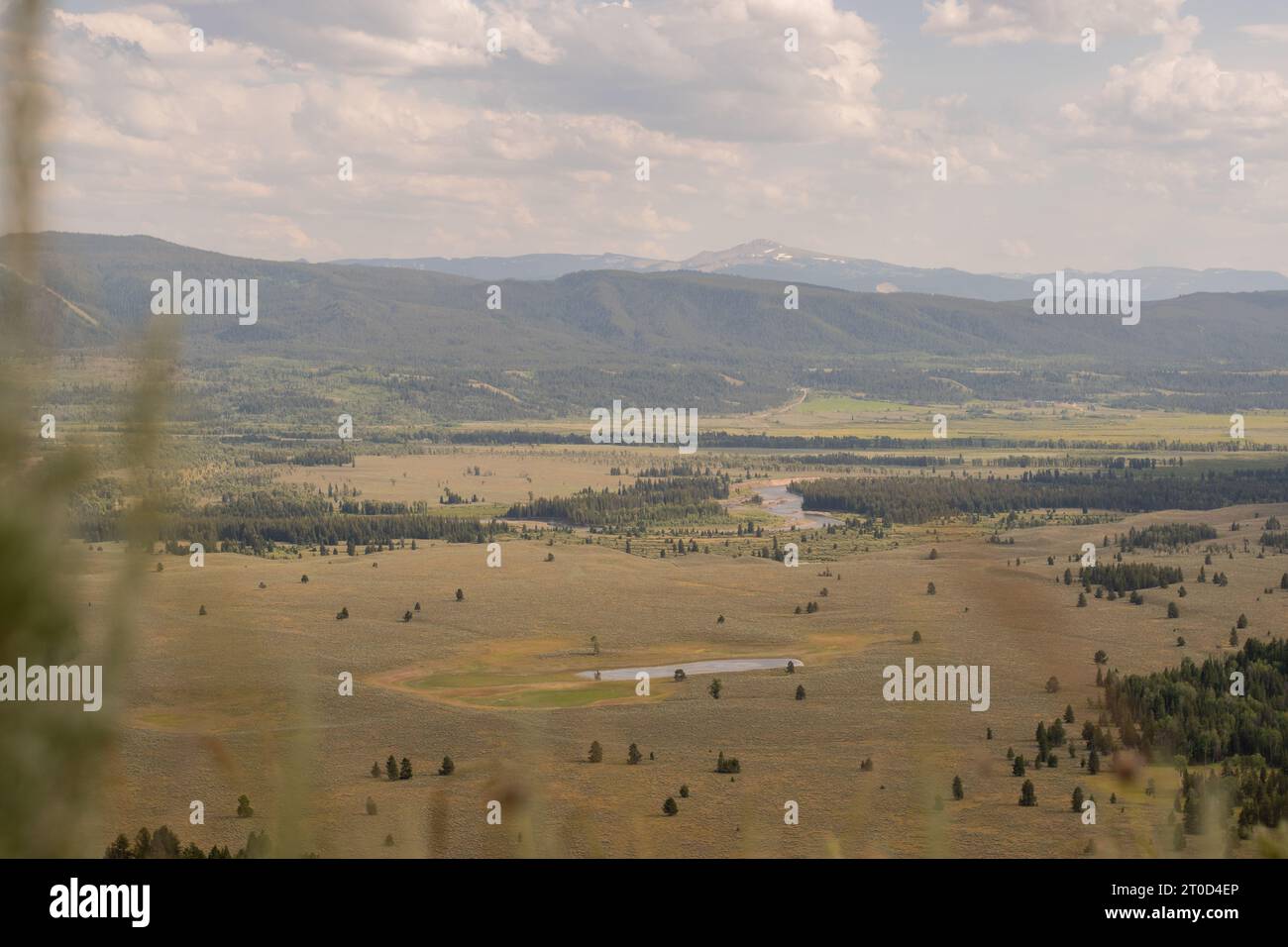 Yellowstone National Park Field Overlook Stock Photo - Alamy