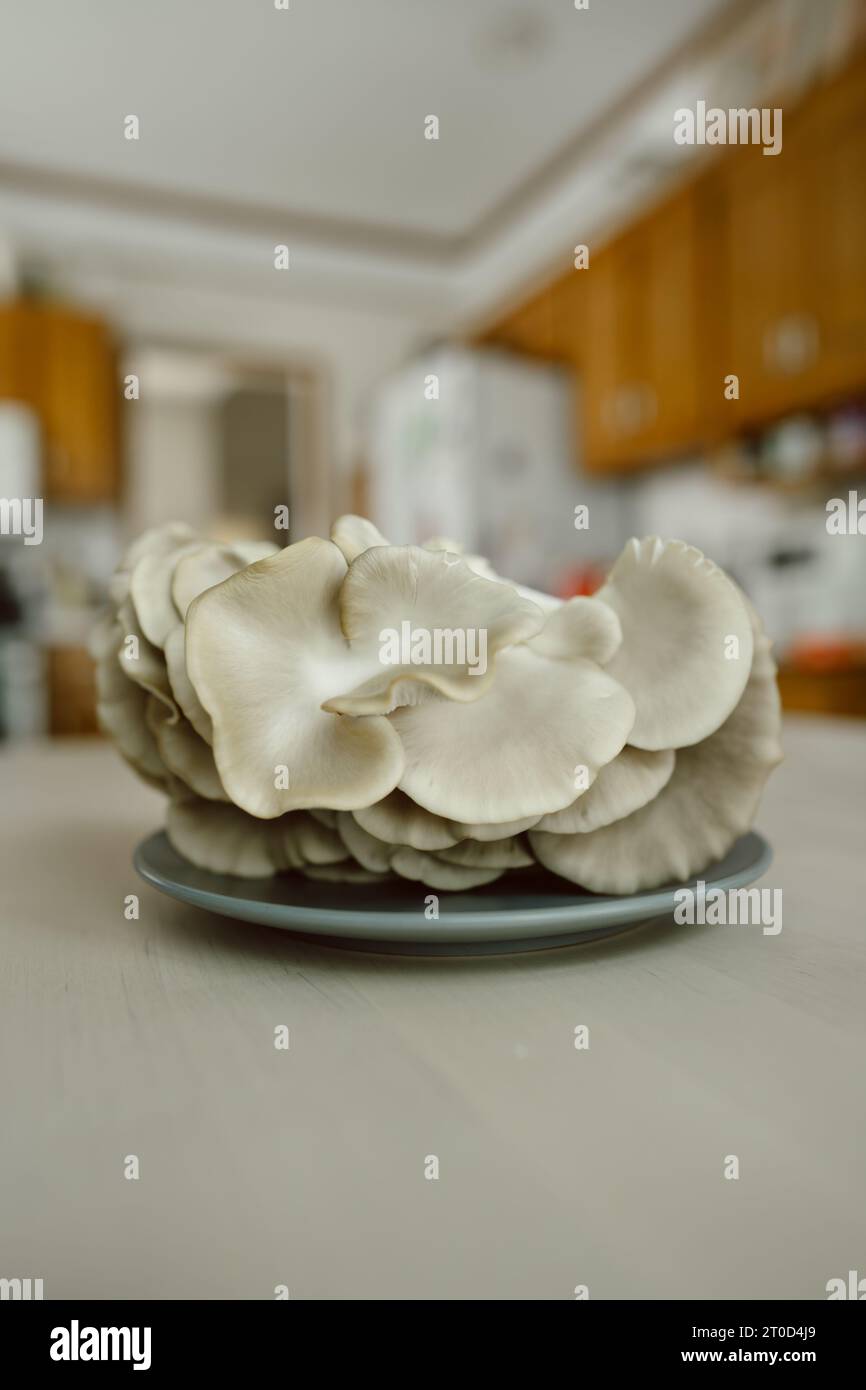 Intricate caps hi-res stock photography and images - Alamy