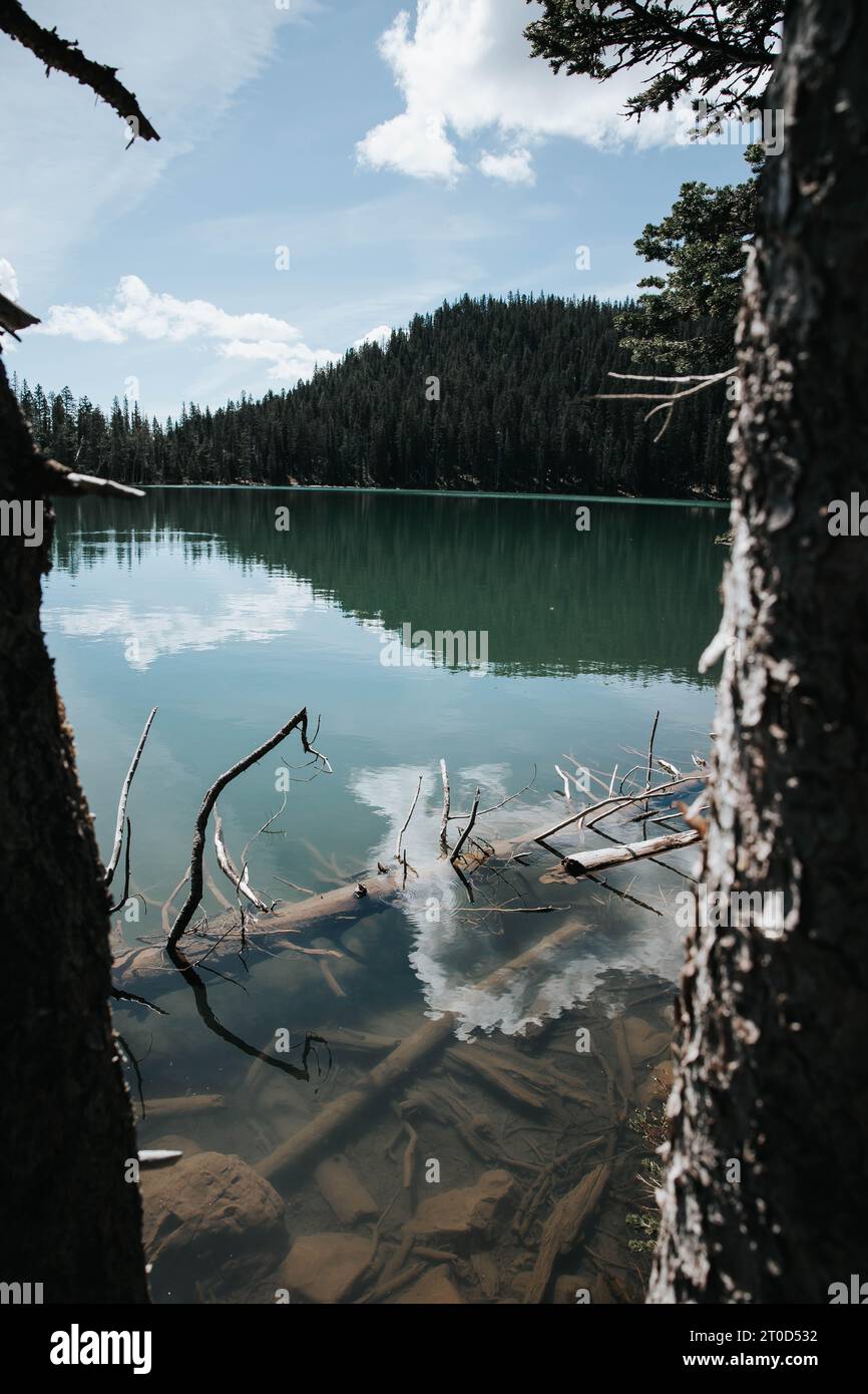 Pristine alpine paradise tranquil lake hi-res stock photography and ...