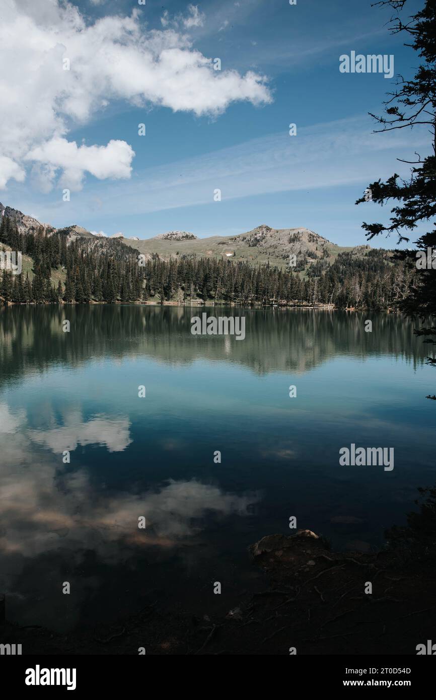 Fairy Lake in Bozeman, Montana: Nature's Paradise Stock Photo - Alamy