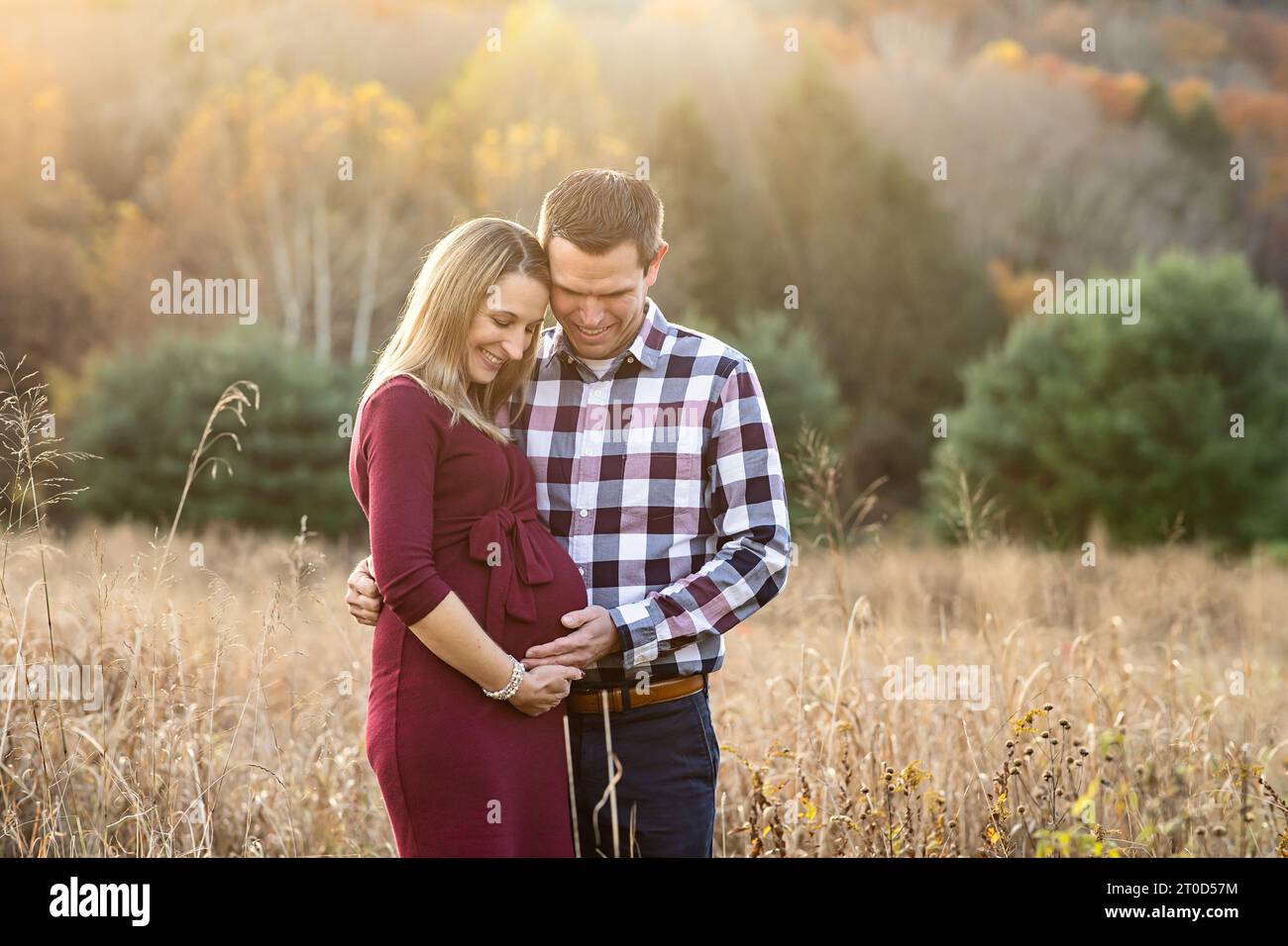 Expecting couple embracing in a field of golden light Stock Photo - Alamy
