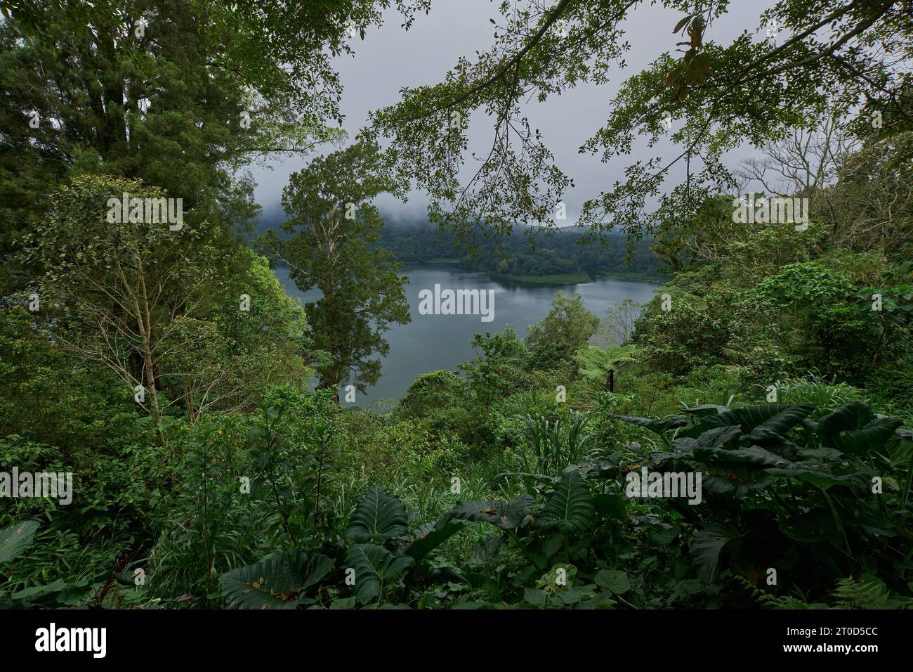 Bali Twin Lakes Viewpoint overlooks both Tamblingan Lake and Buyan Lake ...