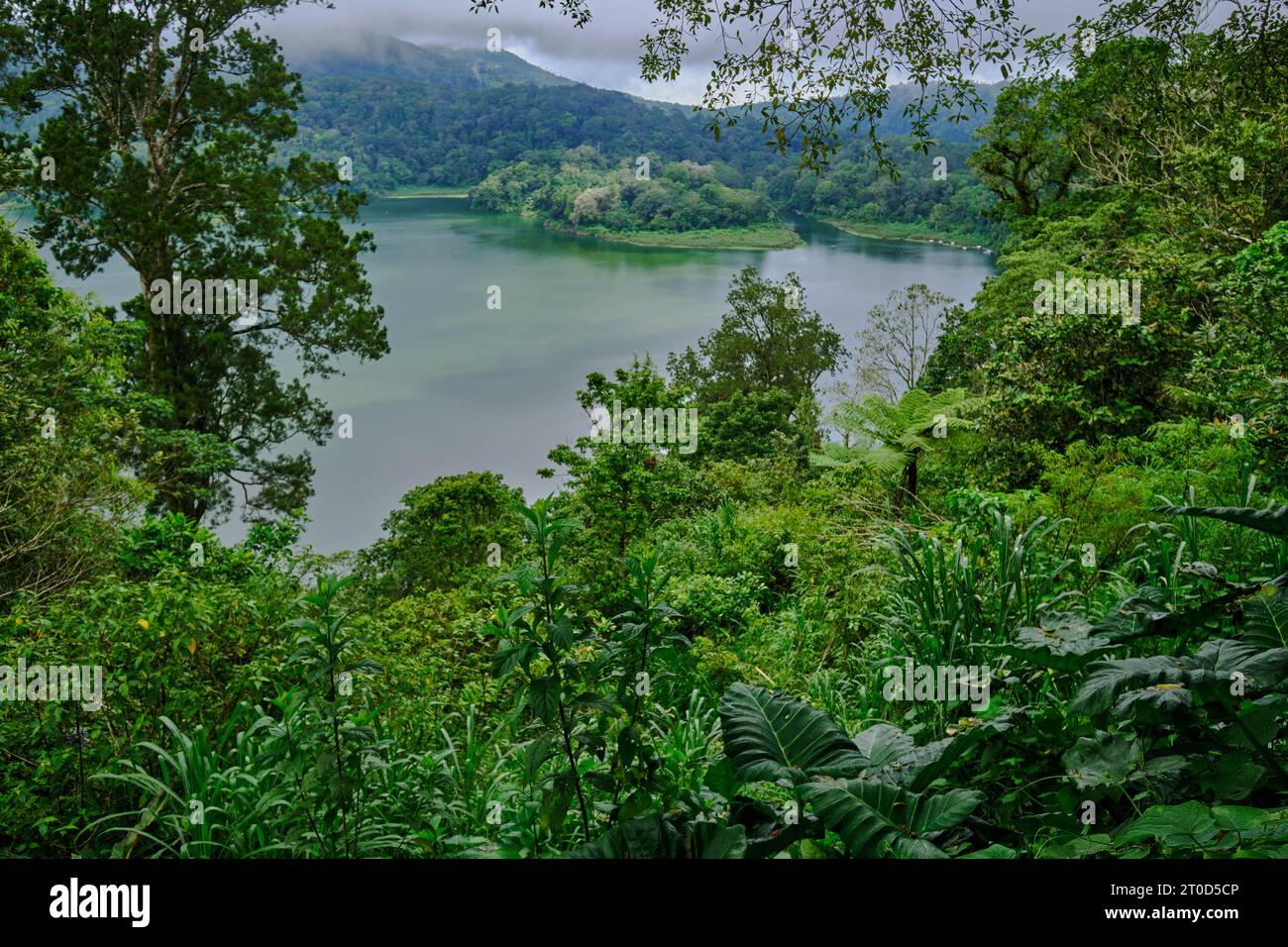 Bali Twin Lakes Viewpoint overlooks both Tamblingan Lake and Buyan Lake ...