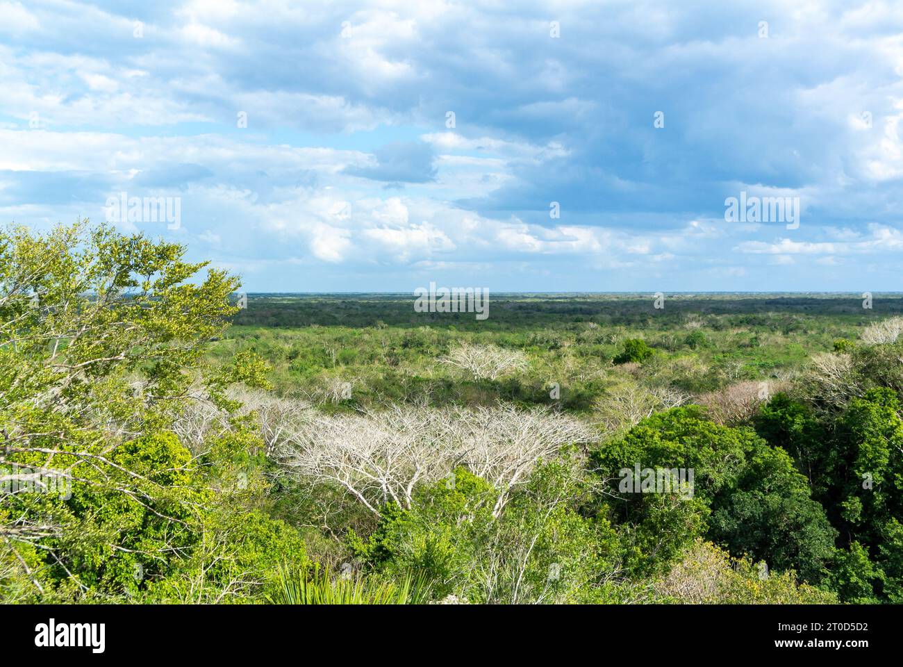 Yucatan peninsula aerial hi-res stock photography and images - Alamy