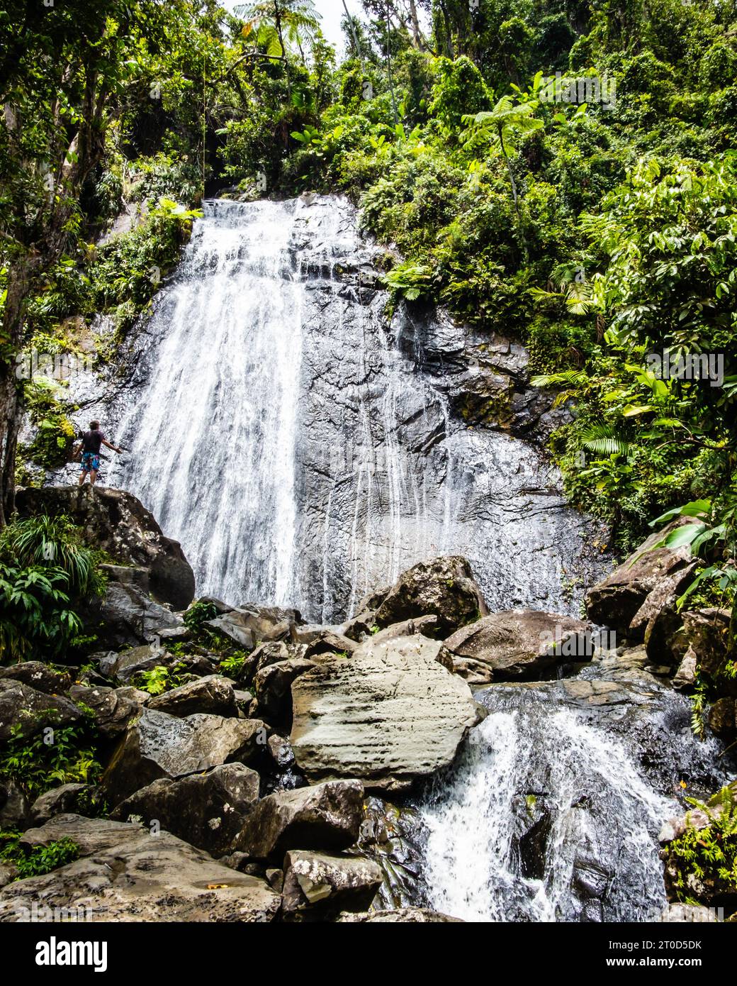 El yunque rainforest waterfall hi-res stock photography and images - Alamy
