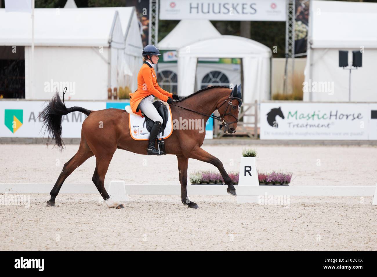 Althea BLEEKMAN of Netherlands with Granncord during dressage at the ...