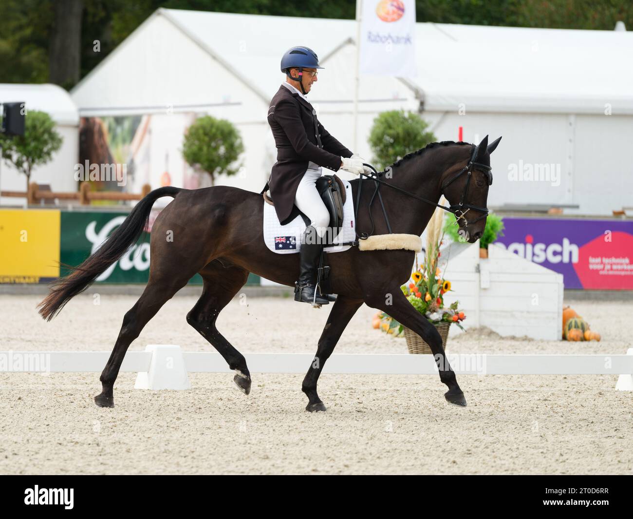 William LEVETT of Australia with Rnh Tom Tom R during dressage at the ...