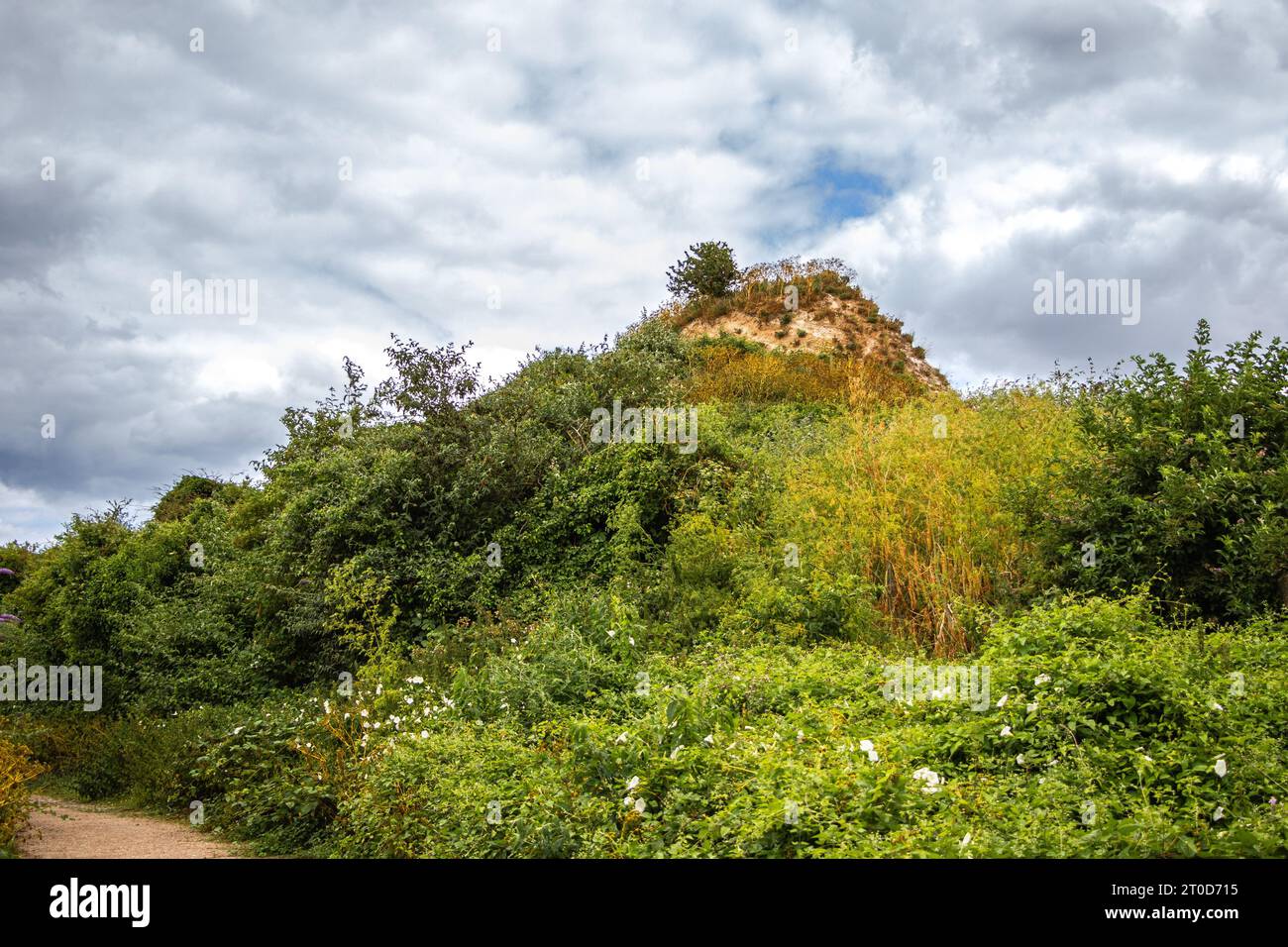 The Hill at Cliffe Pools Stock Photo - Alamy