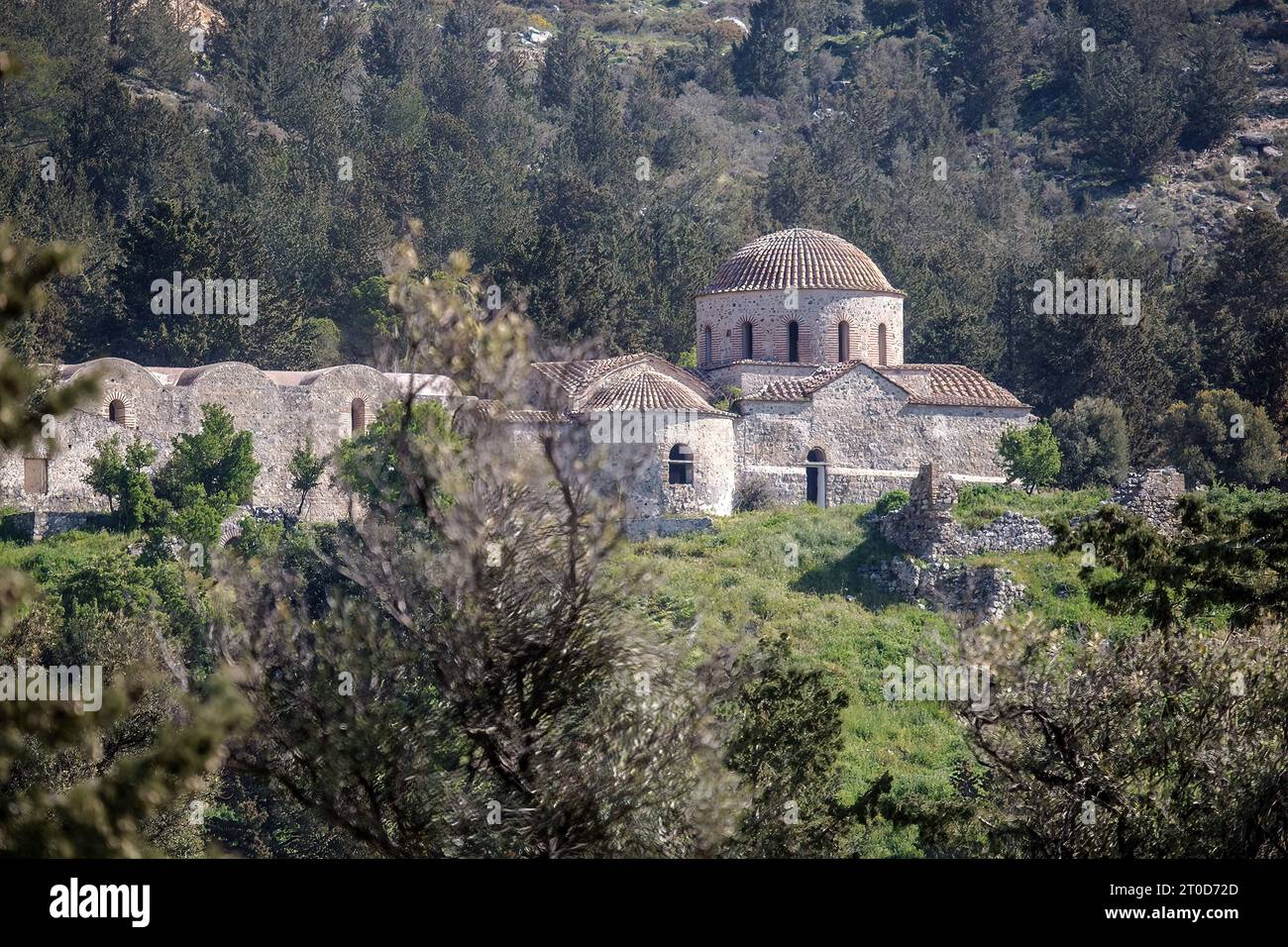 Empty place in the forest hi-res stock photography and images - Alamy