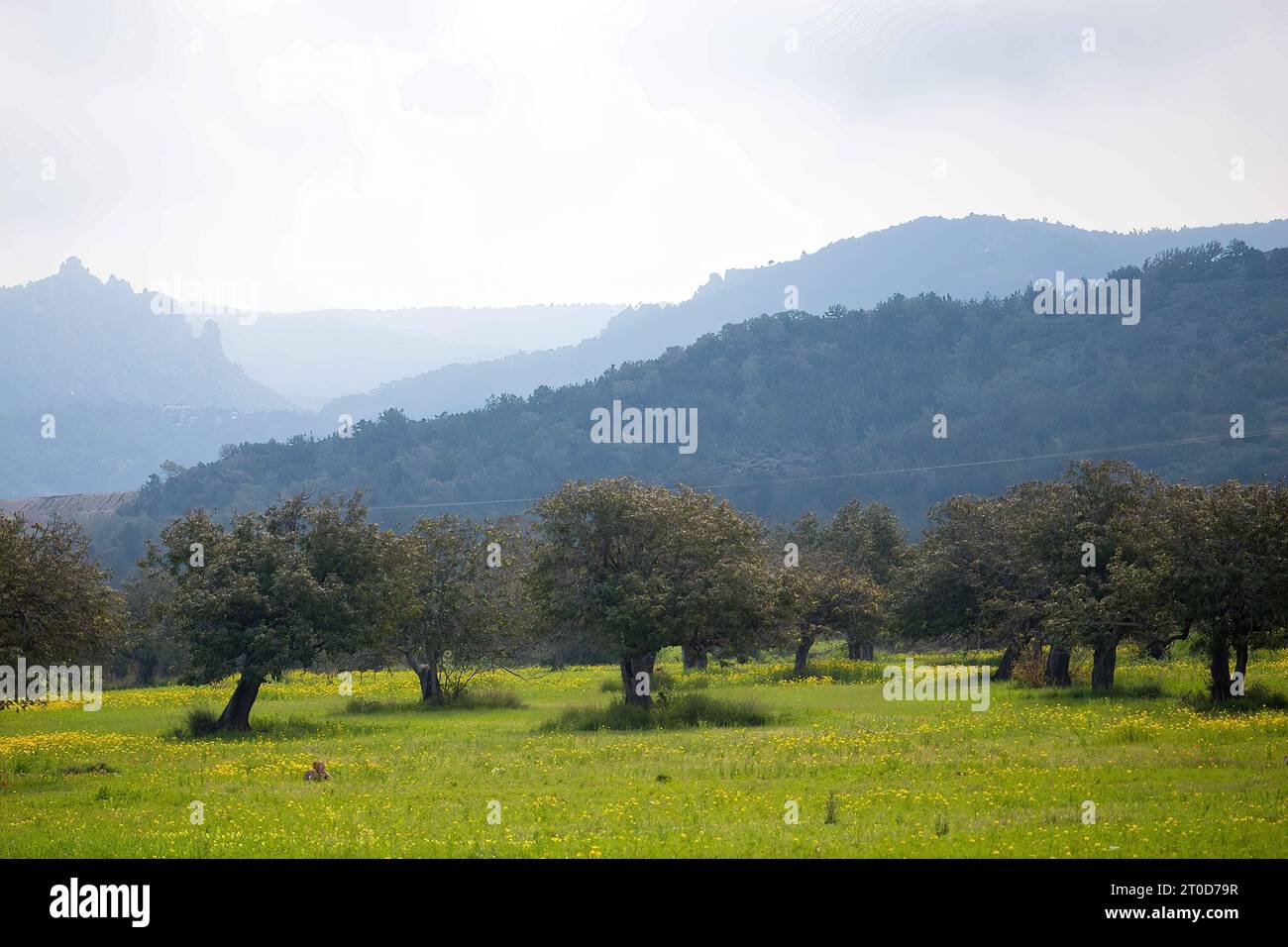 Northern cyprus landscape hi-res stock photography and images - Alamy