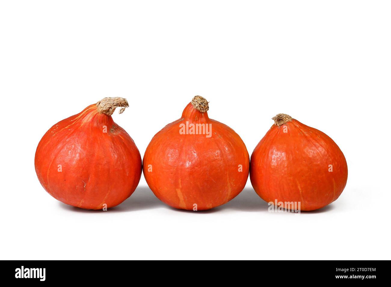 Three 'Red Kuri' squashes, also called 'Hokkaido' squash on white ...
