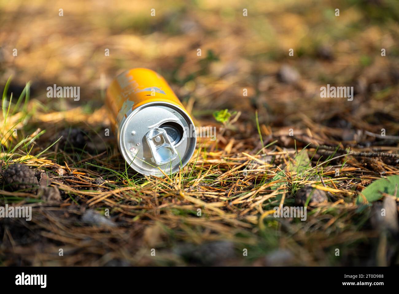 empty aluminum drinking canister tossed on a ground Stock Photo - Alamy