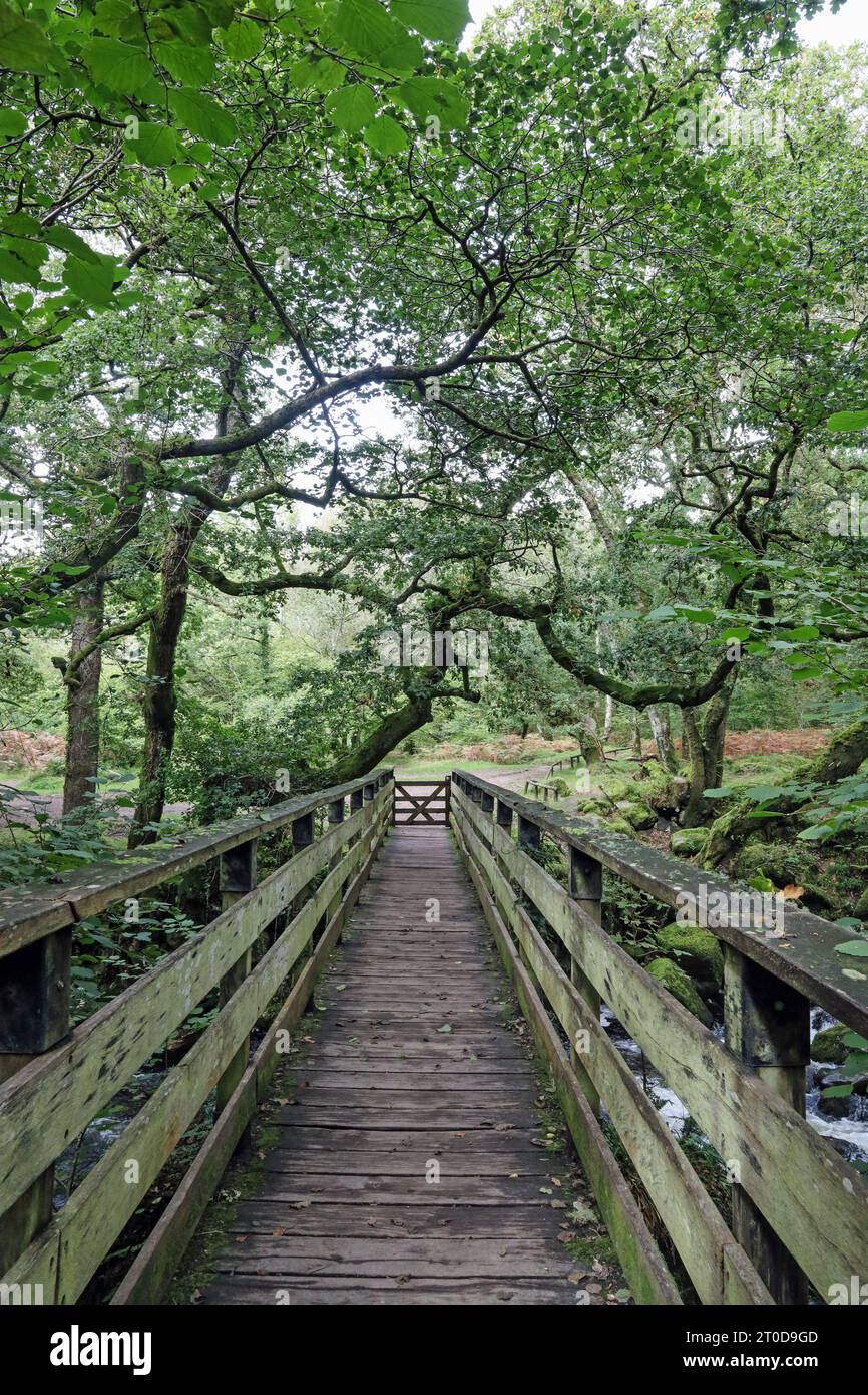 Upright image, looking across the footbridge at Shaugh Bridge in ...